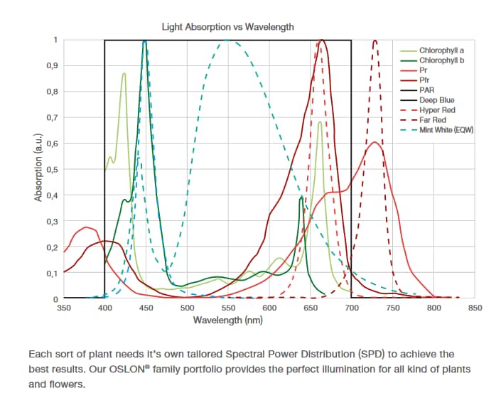 LEDs for Horticultural Lighting - ams OSRAM | Mouser