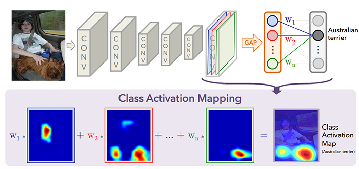 Weakly Supervised Learning Unlocks Medical Imaging Insights Mouser